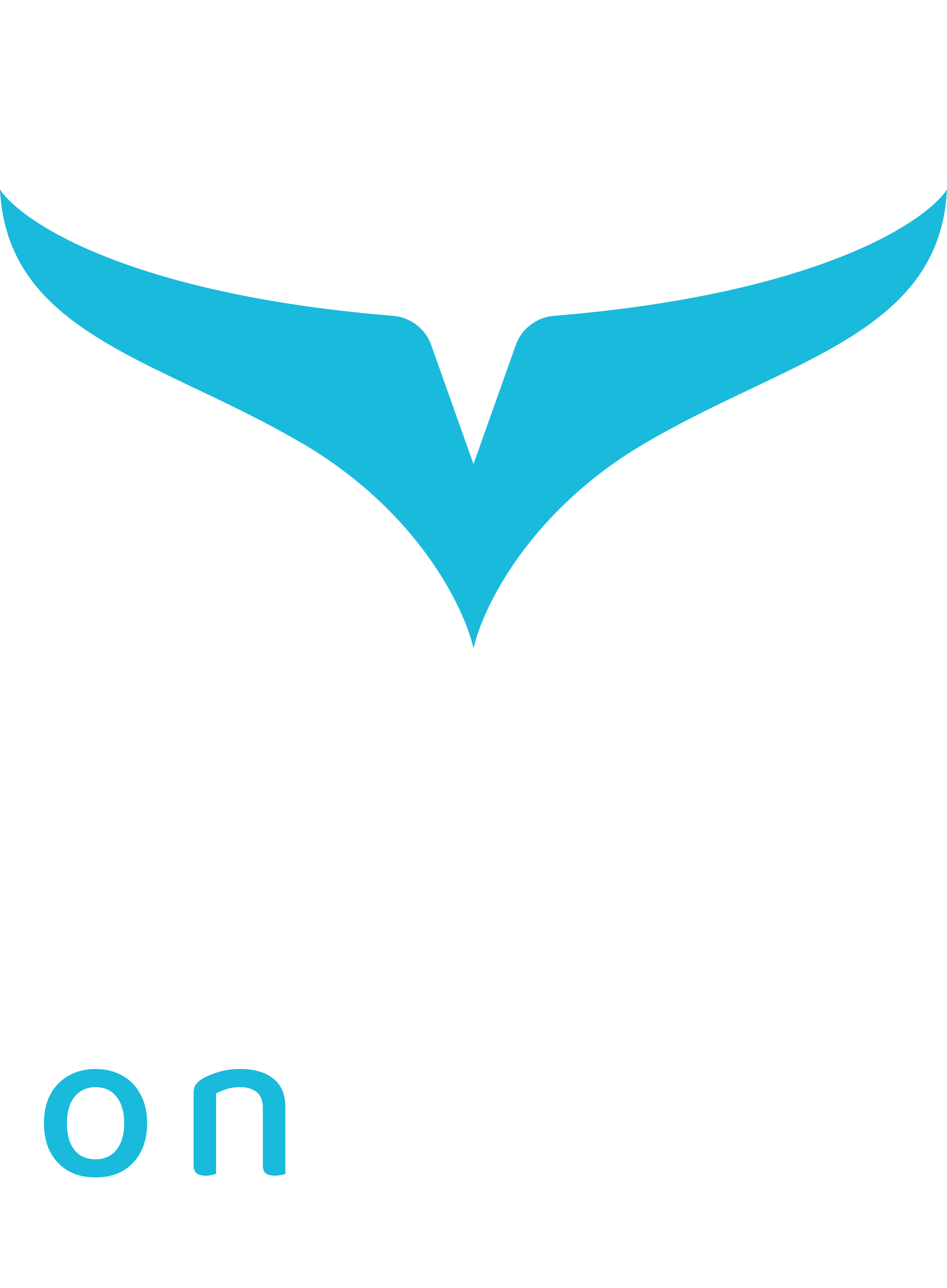 onPoint Software Services | Custom Software Development & IT Consulting